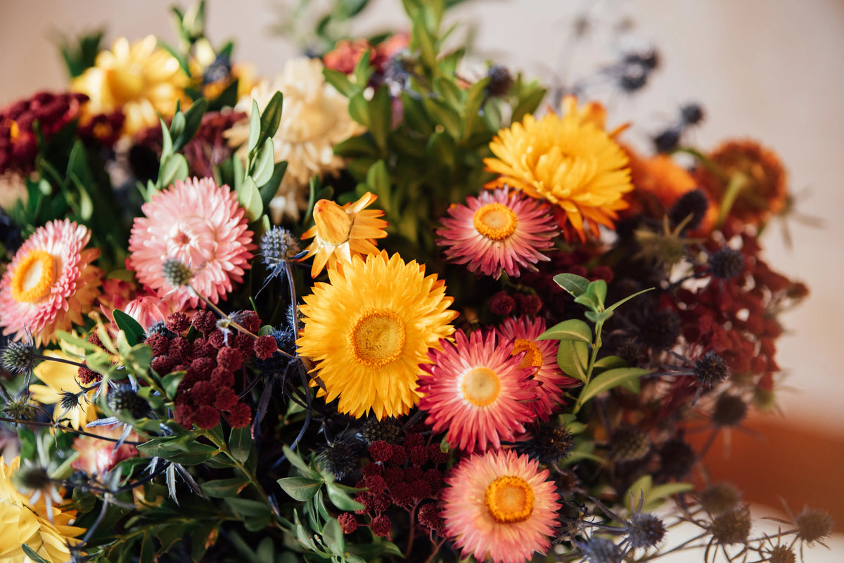 Best Mixed Flower Bouquets for Any Occasion in South Africa – Bloomable