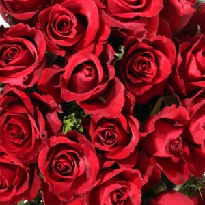 Bloomable | SA's Premium Online Same-Day Delivery Florist & Gift Shop