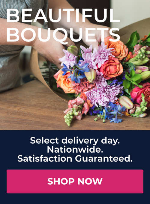 Romance and Anniversary – Bloomable